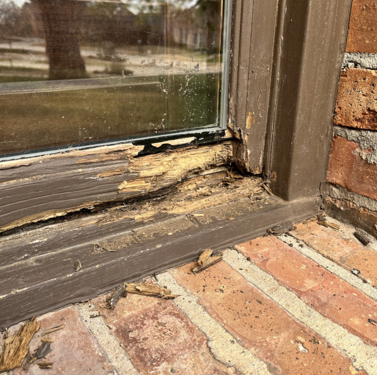 Repair Services For Wood Rot & Dry Rot At Preservan