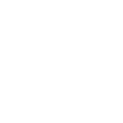 Wood Rot Repair | Preservan