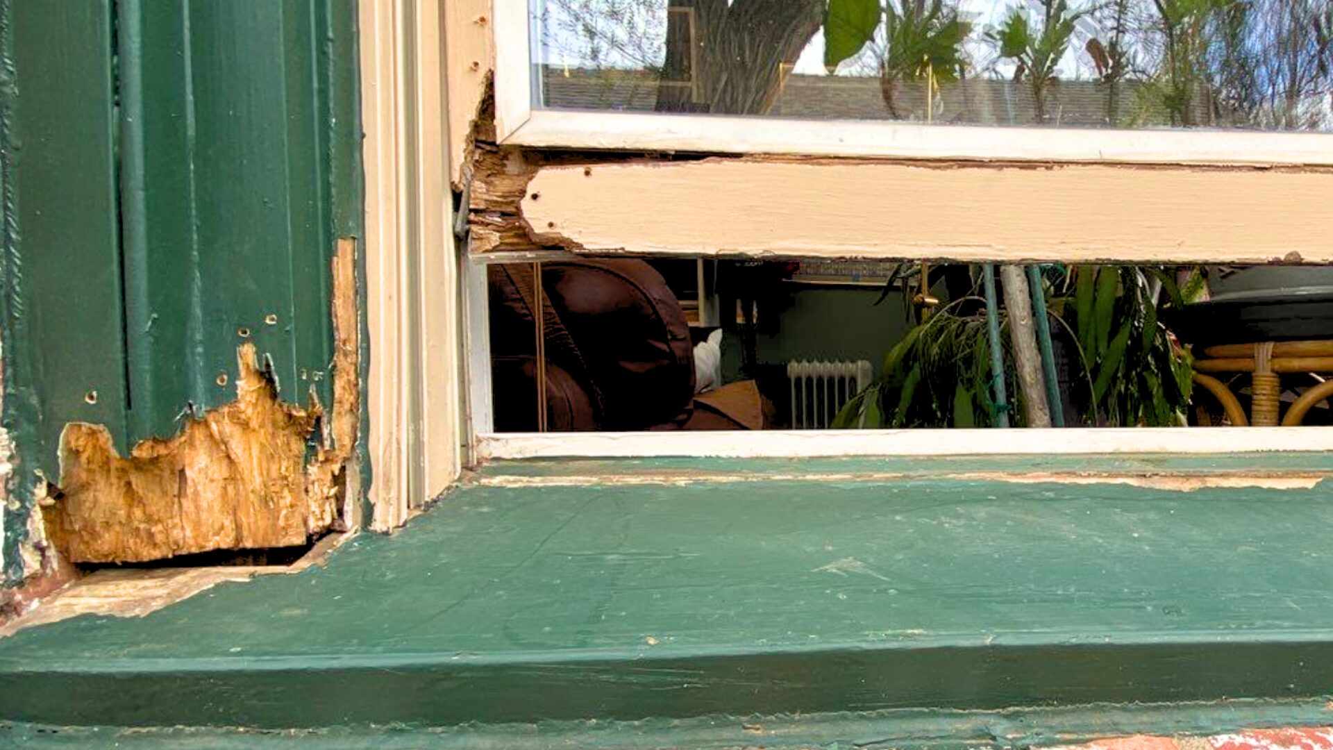 Dry Rot vs. Wet Rot vs. White Rot: What’s Eating Your Wood | Preservan